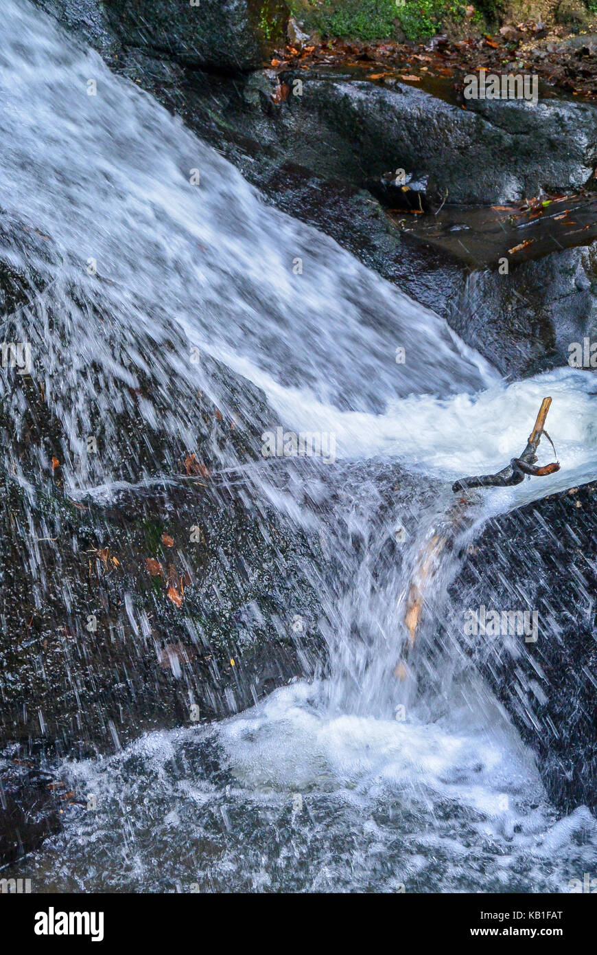 Downhill stream with waterfall through Derbyshire woodland Stock Photo ...