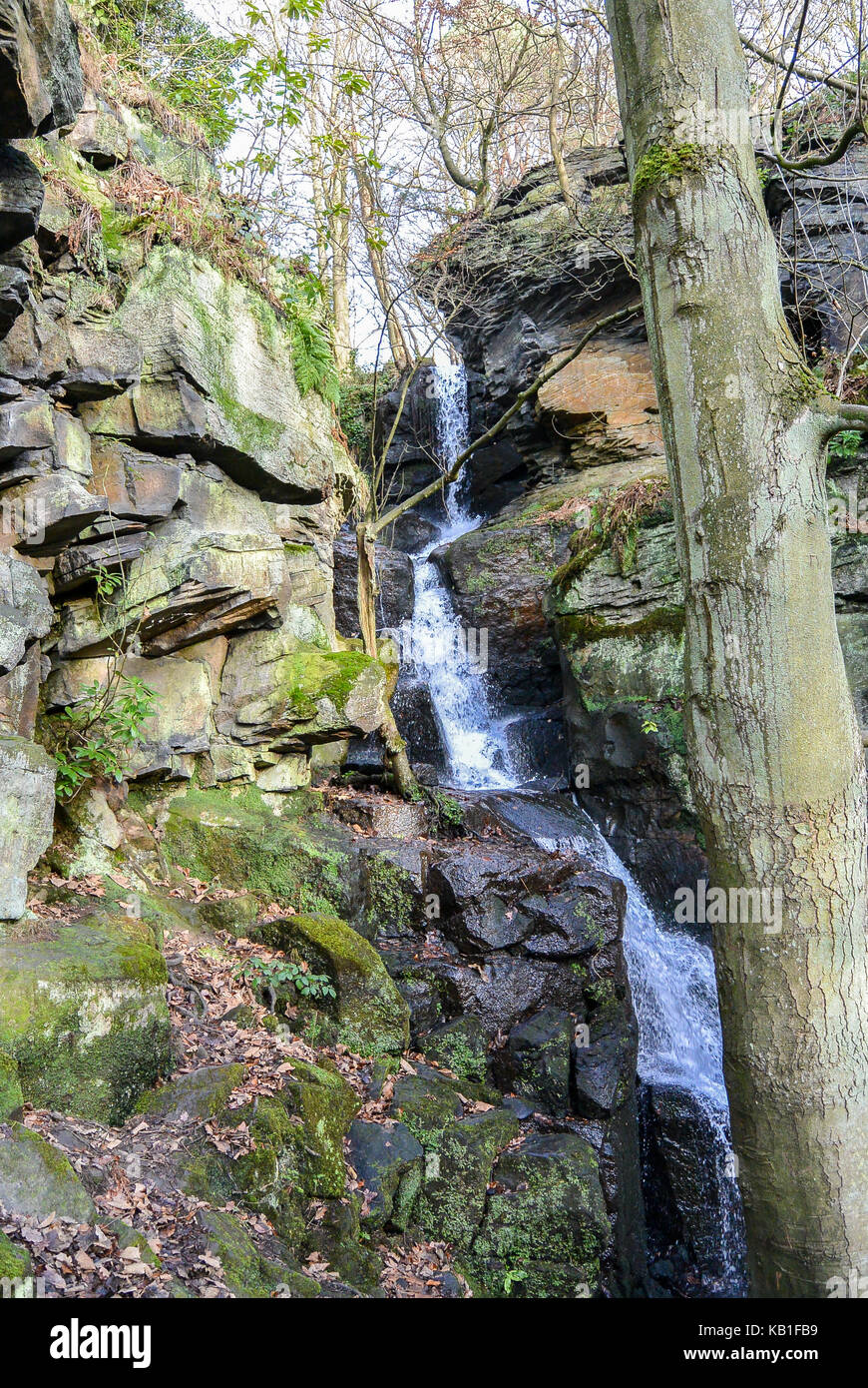 Downhill stream with waterfall through Derbyshire woodland Stock Photo ...