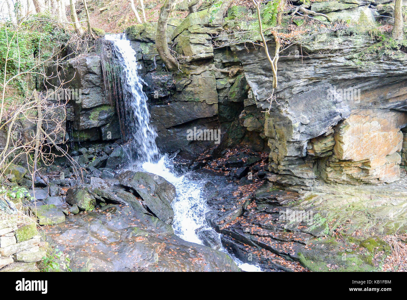 Downhill stream with waterfall through Derbyshire woodland Stock Photo ...