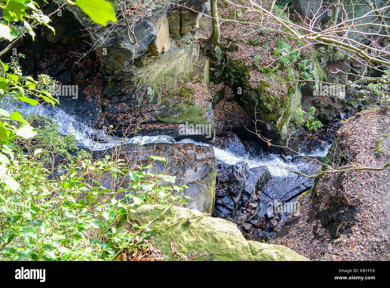 Downhill stream with waterfall through Derbyshire woodland Stock Photo ...