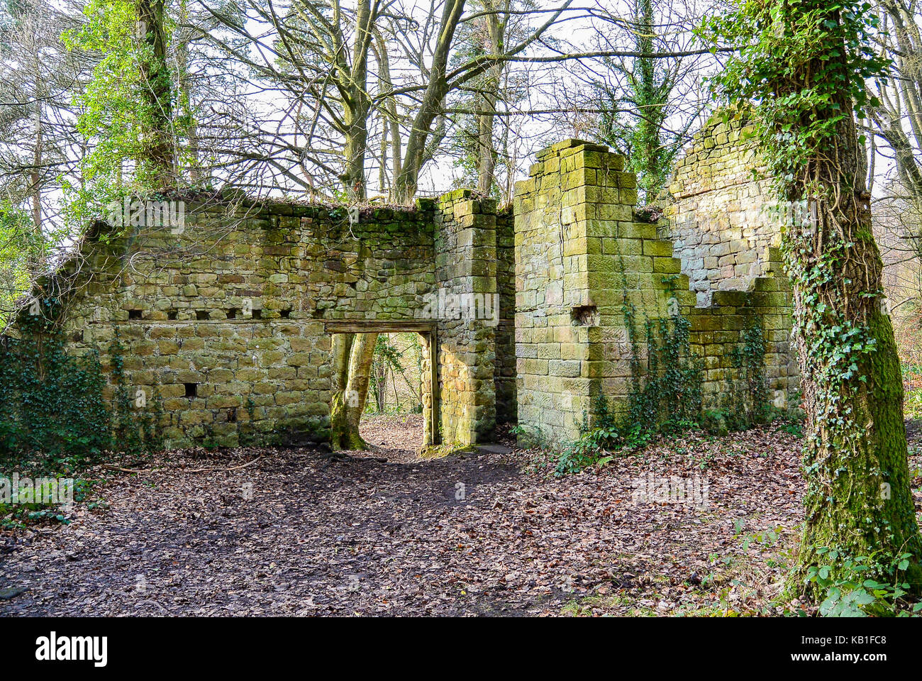 Lumsdale ruins near Matlock Derbyshire Stock Photo - Alamy