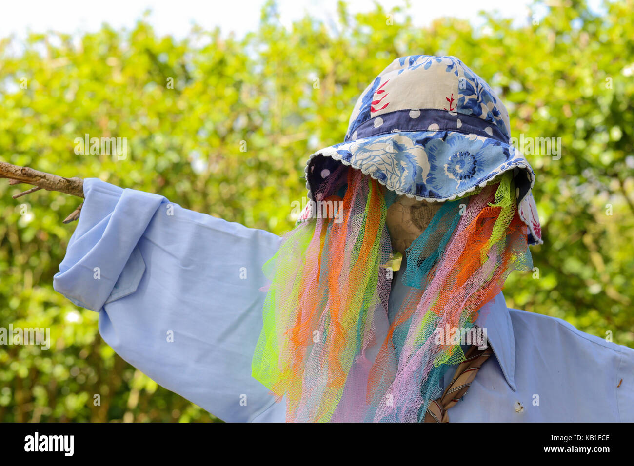 Funny colorful rainbow mesh scarecrow with pale blue shirt and hat on ...