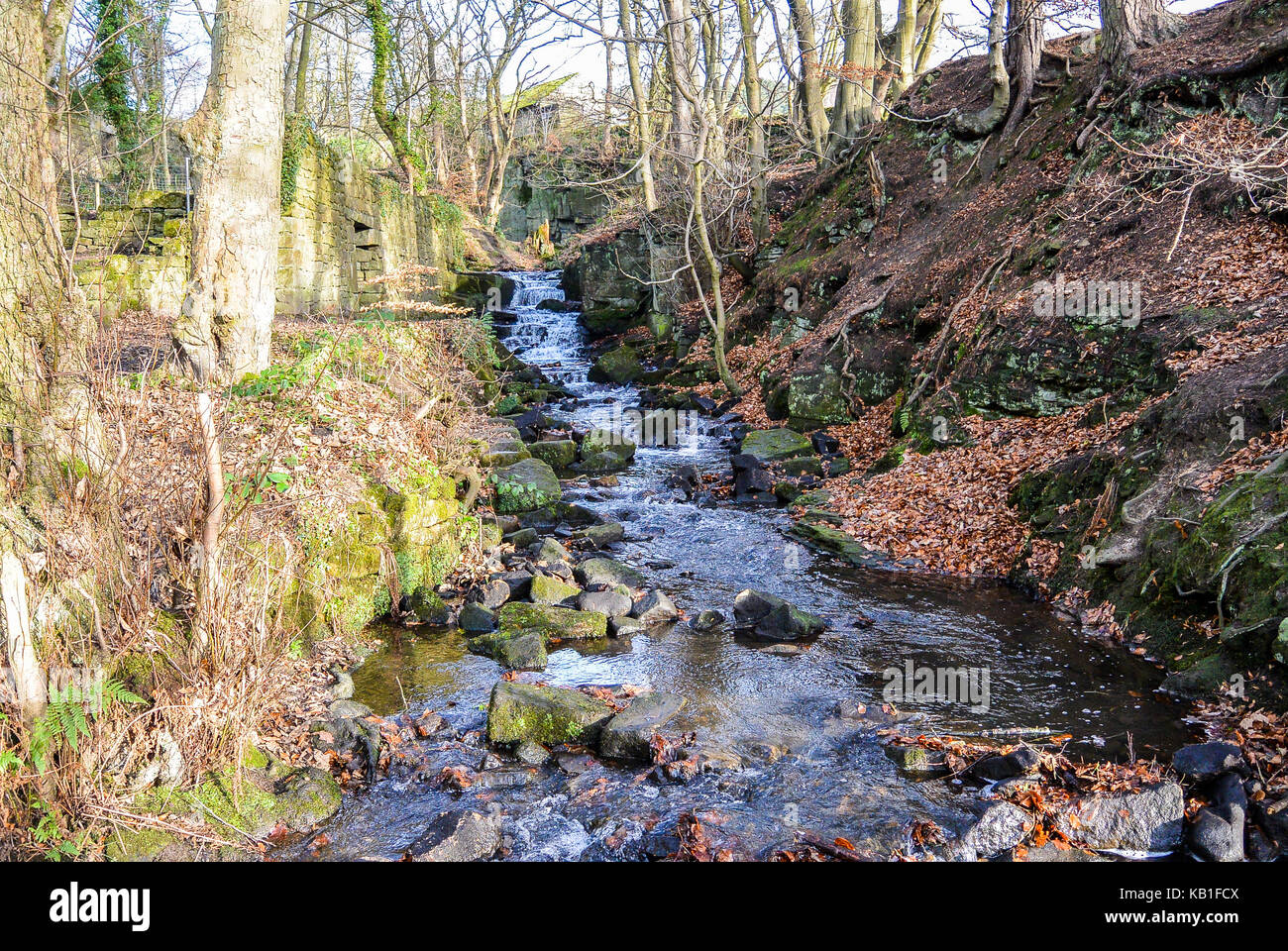 Downhill stream with waterfall through Derbyshire woodland Stock Photo ...