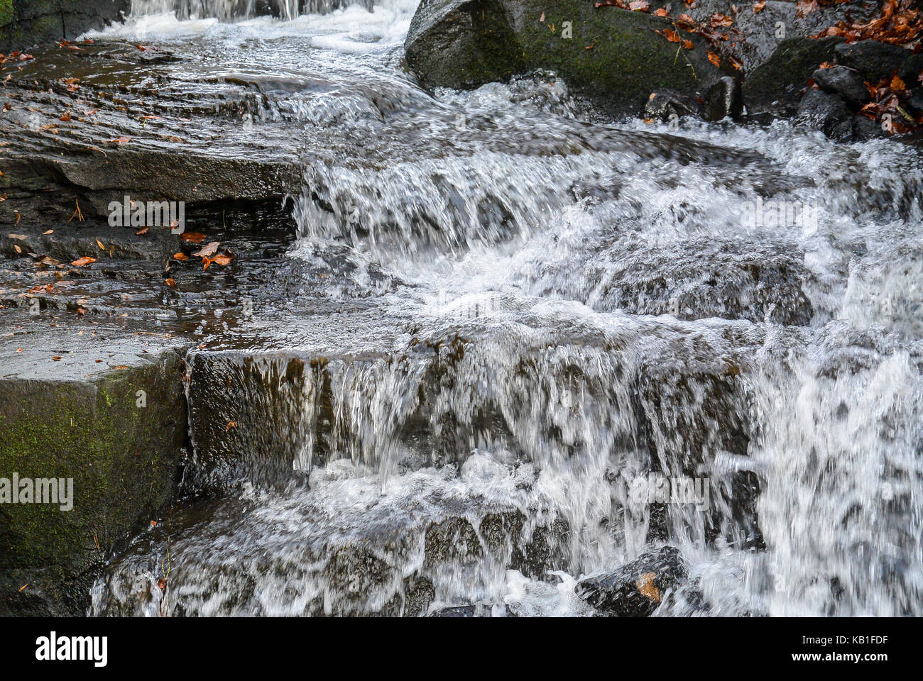 Downhill stream with waterfall through Derbyshire woodland Stock Photo ...