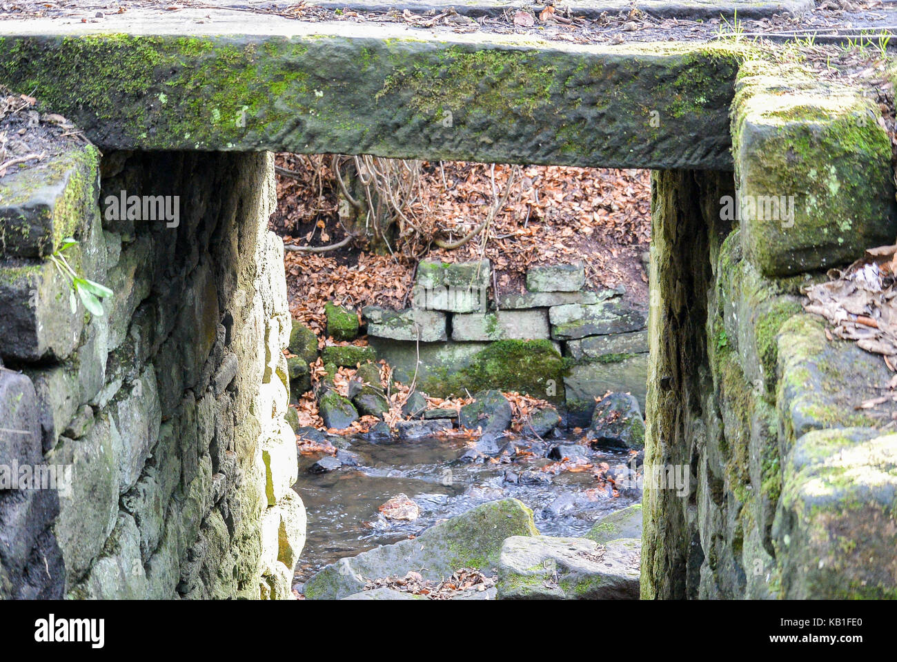 Lumsdale ruins near Matlock Derbyshire Stock Photo - Alamy