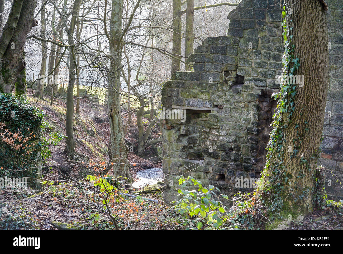 Lumsdale ruins near Matlock Derbyshire Stock Photo - Alamy