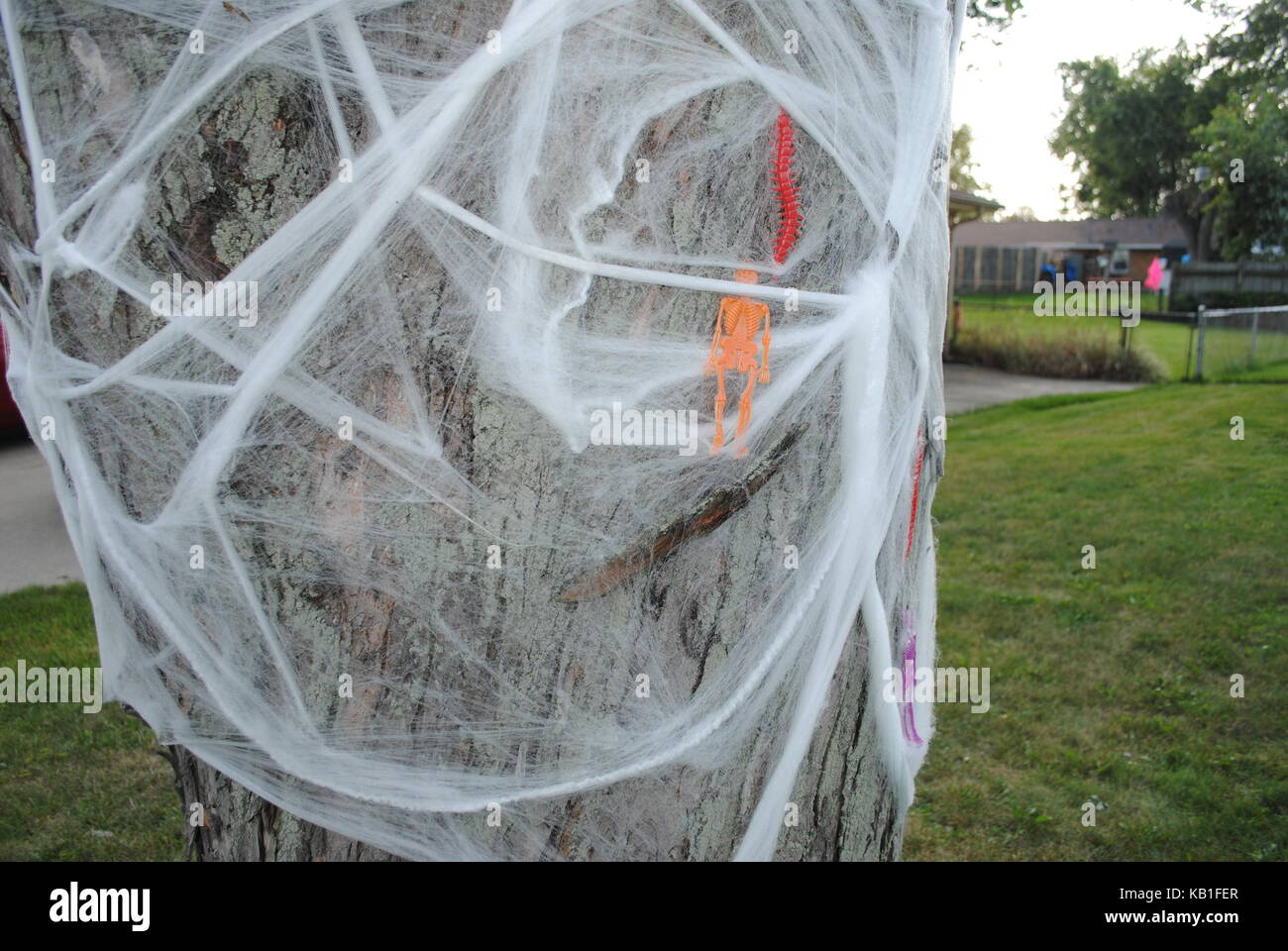 Spider web covering a tree with toys on it Stock Photo - Alamy
