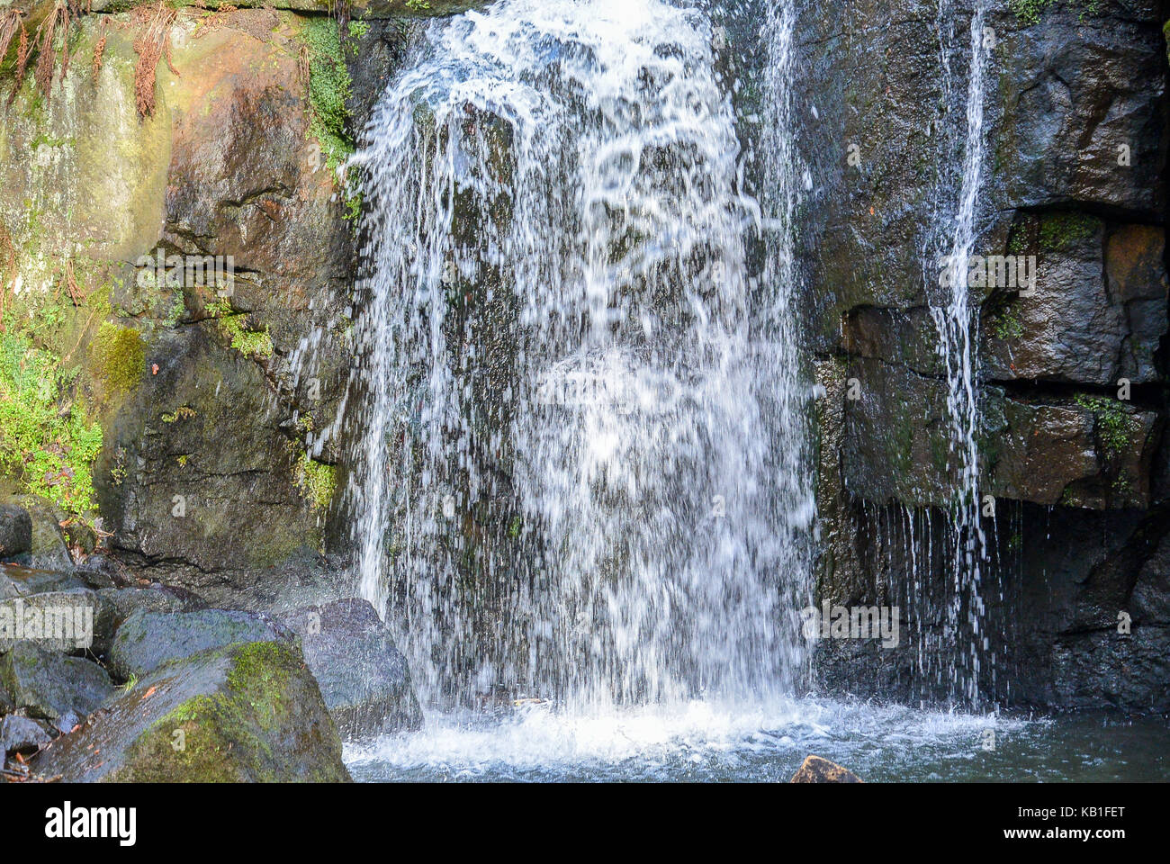Downhill stream with waterfall through Derbyshire woodland Stock Photo ...