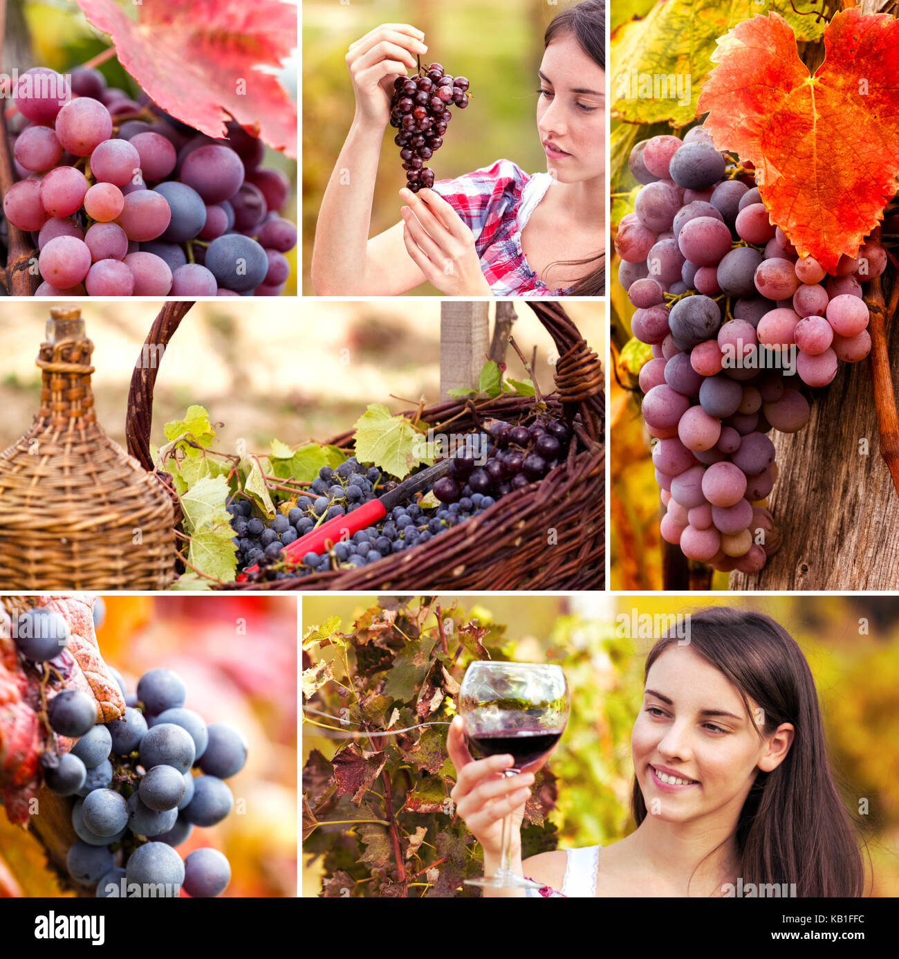 Collage fresh ripe fruit grape hi-res stock photography and images - Alamy
