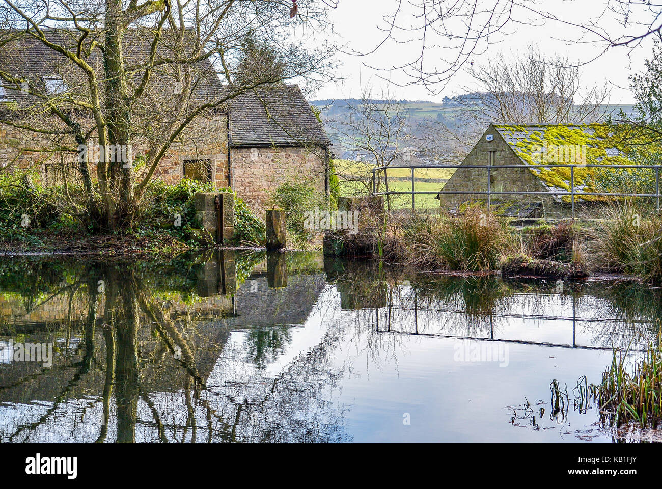 Lake at Lumsdale near Matlock Derbyshire Stock Photo - Alamy