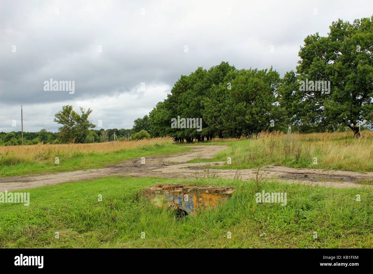 A very old road running along the fields and oak planting Stock Photo ...