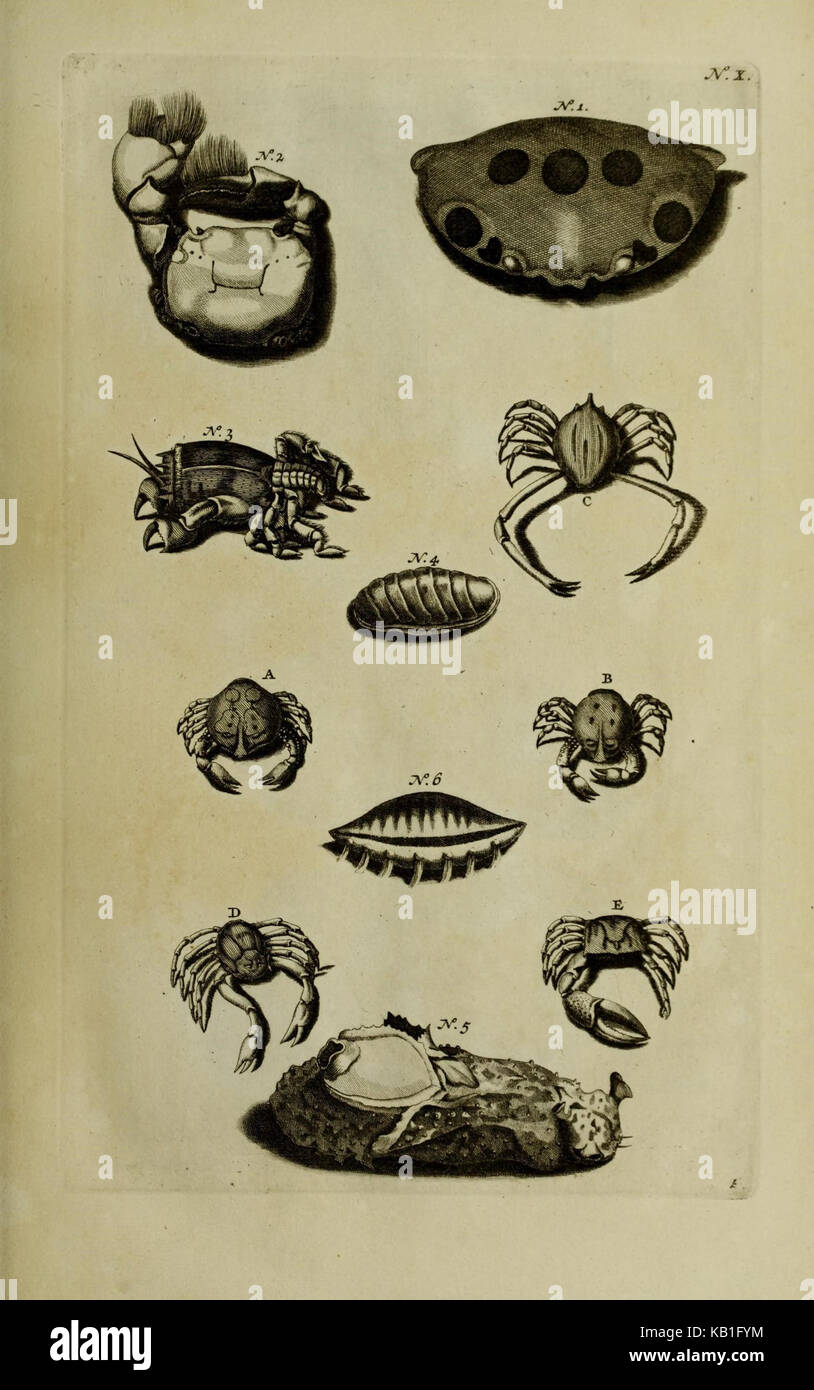 Cataloging marine species hi-res stock photography and images - Alamy