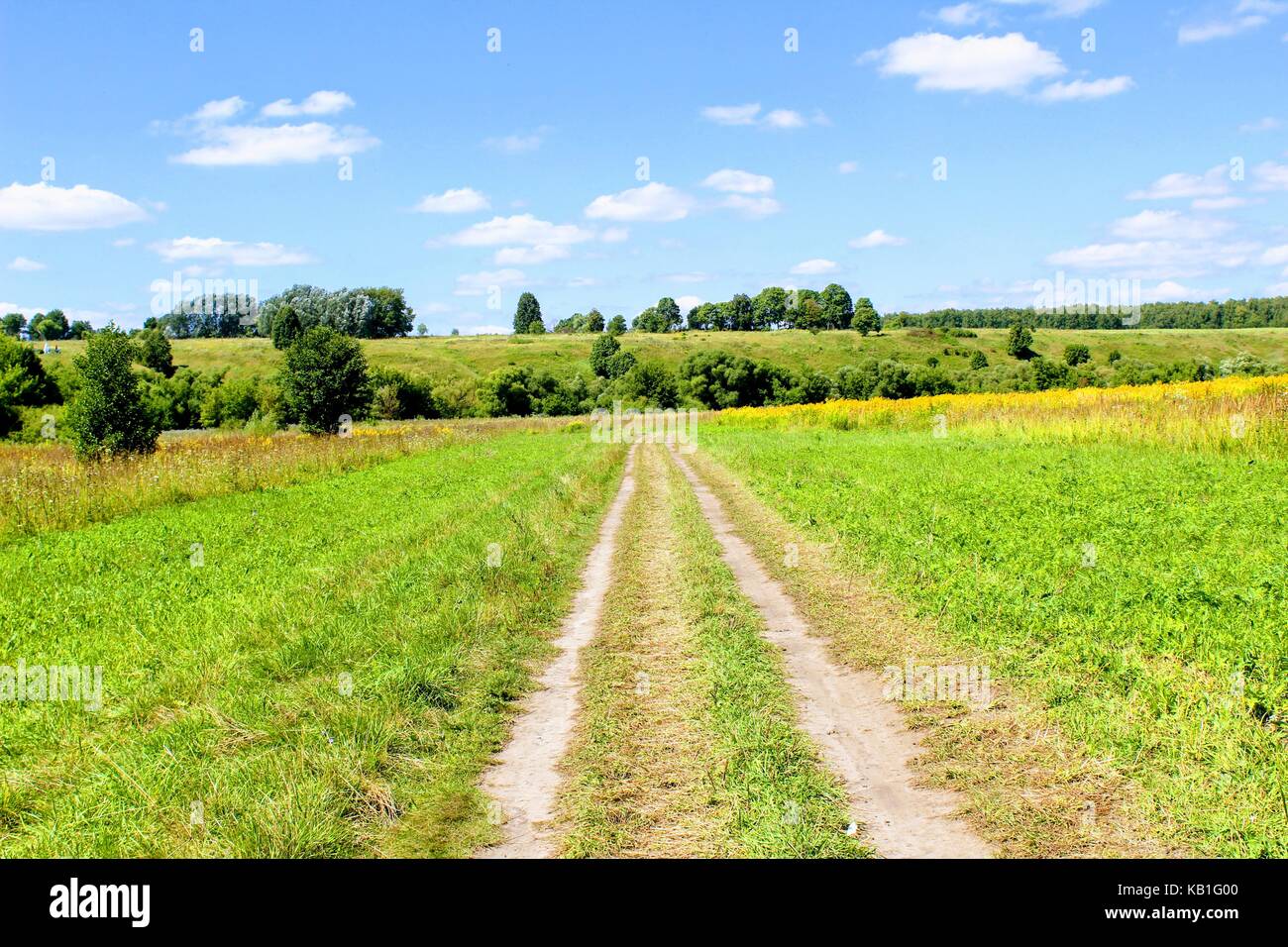 The road in the fields with grass mowed along both sides Stock Photo ...