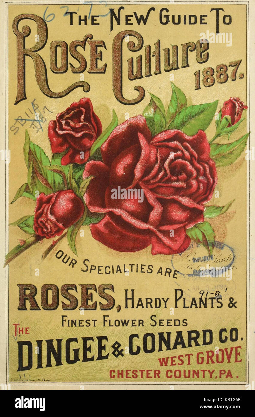 The new guide to rose culture (16998208022 Stock Photo - Alamy