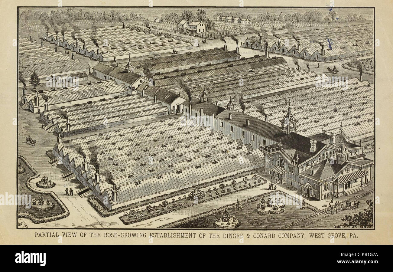 This guide provides comprehensive information on rose culture, offering ...