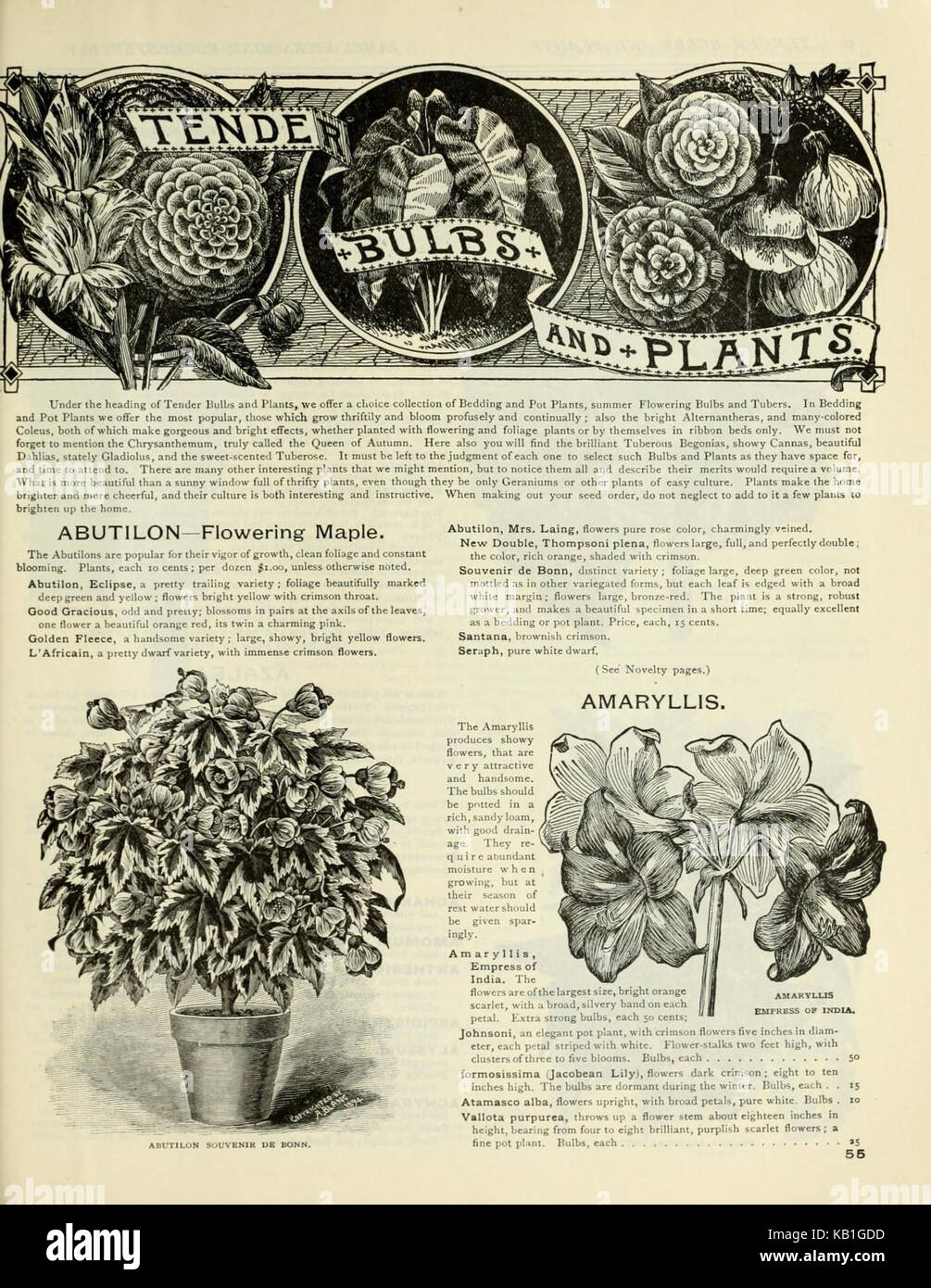 Floral guide hi-res stock photography and images - Alamy