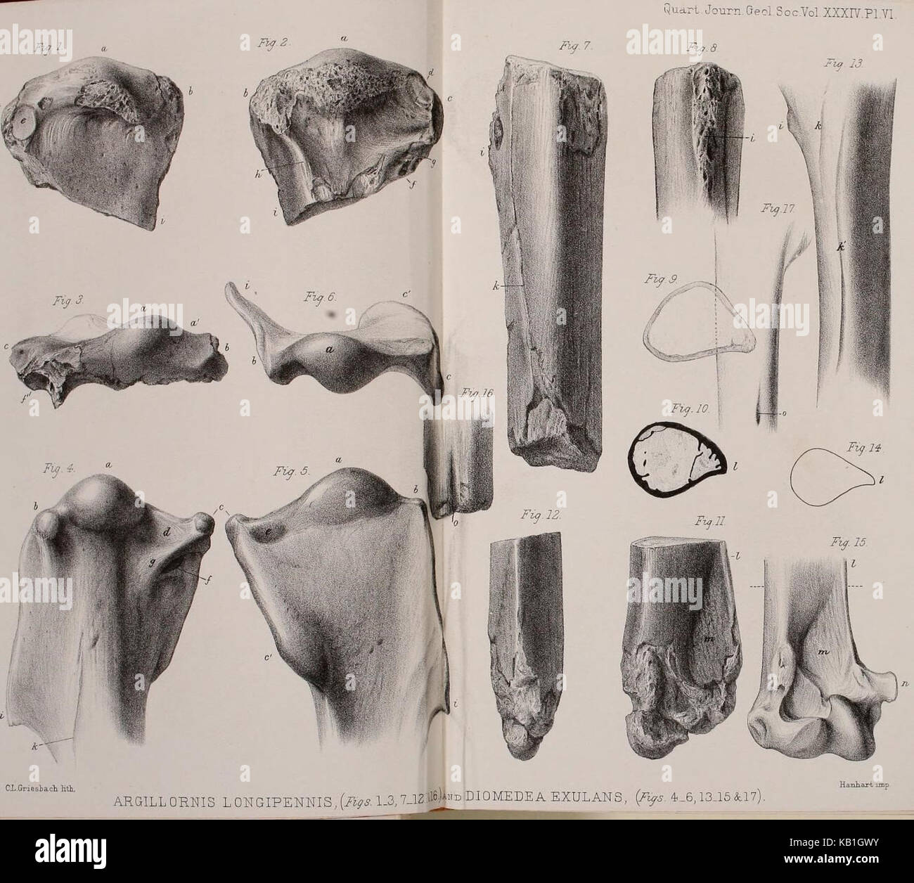 Historical map from society hi-res stock photography and images - Alamy