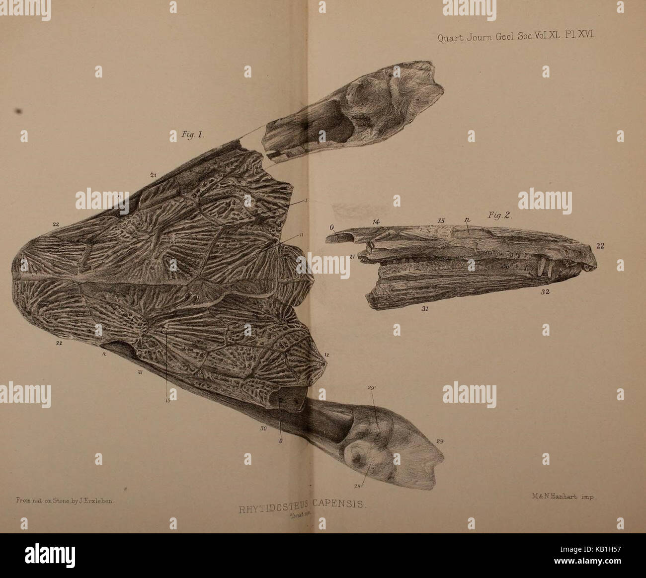 Geological drawing study hi-res stock photography and images - Alamy