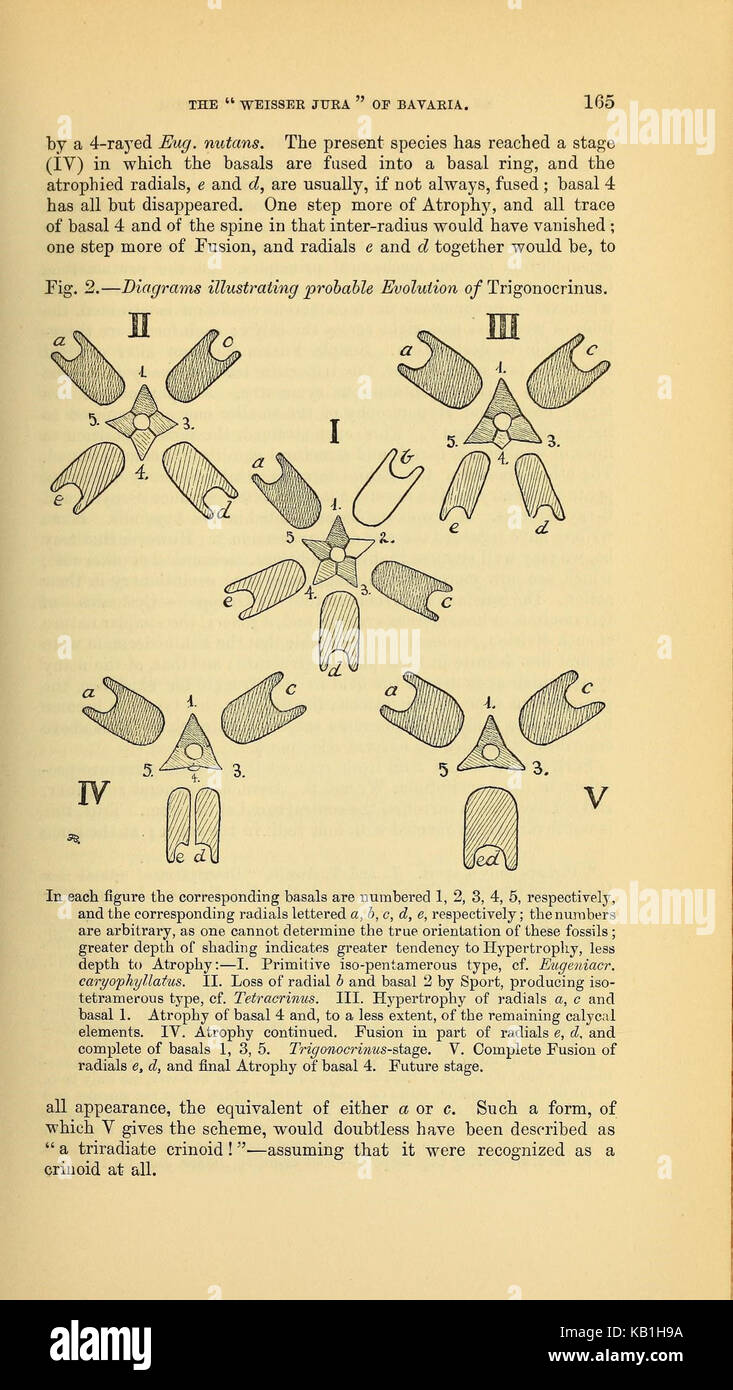 This illustration from 'The Quarterly Journal of the Geological Society ...