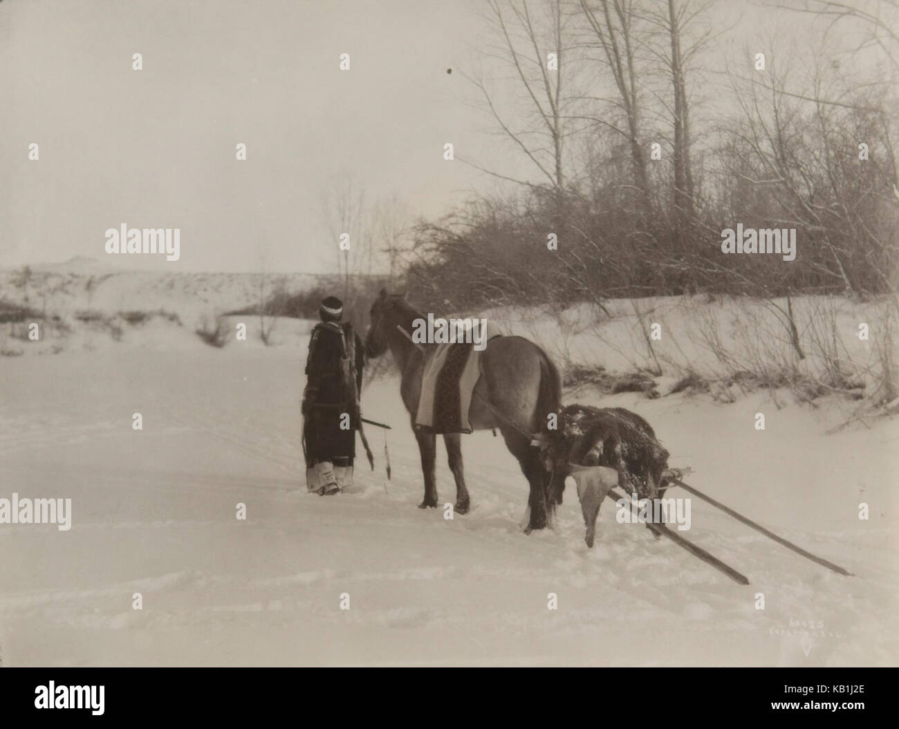 Travois hi-res stock photography and images - Alamy