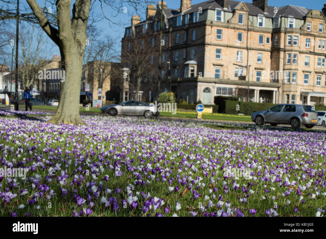 Harrogate town centre in spring hi-res stock photography and images - Alamy