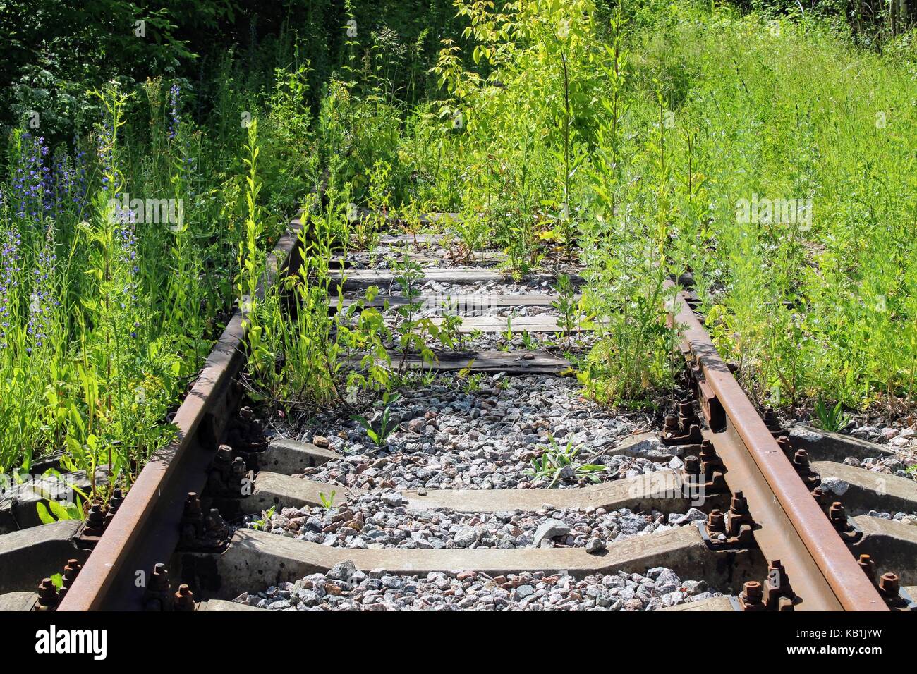 Rusty track rails. The railway track itself is new, the rails rust from ...