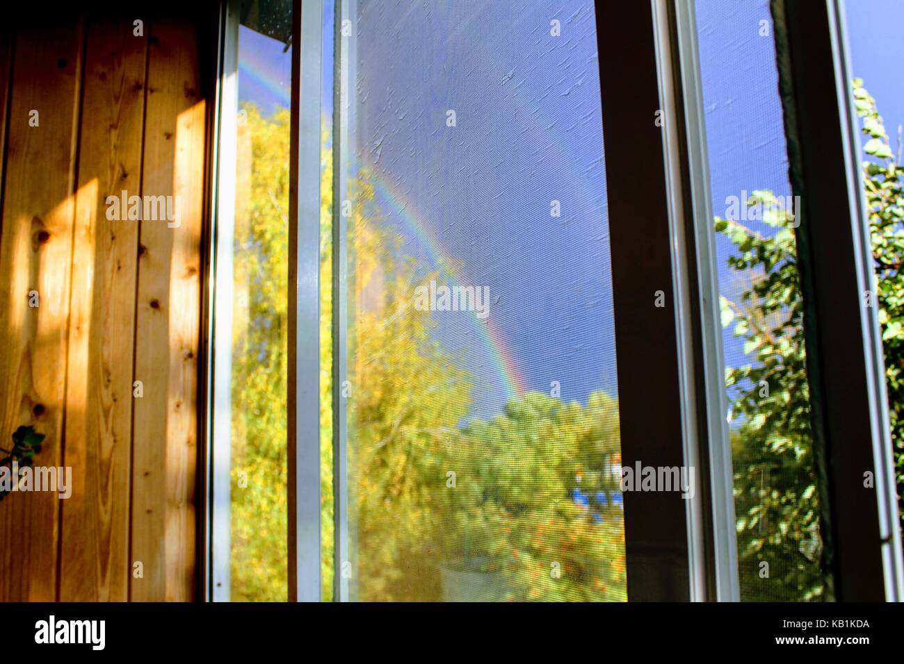 A view of a double rainbow stretched over the green crowns of trees ...