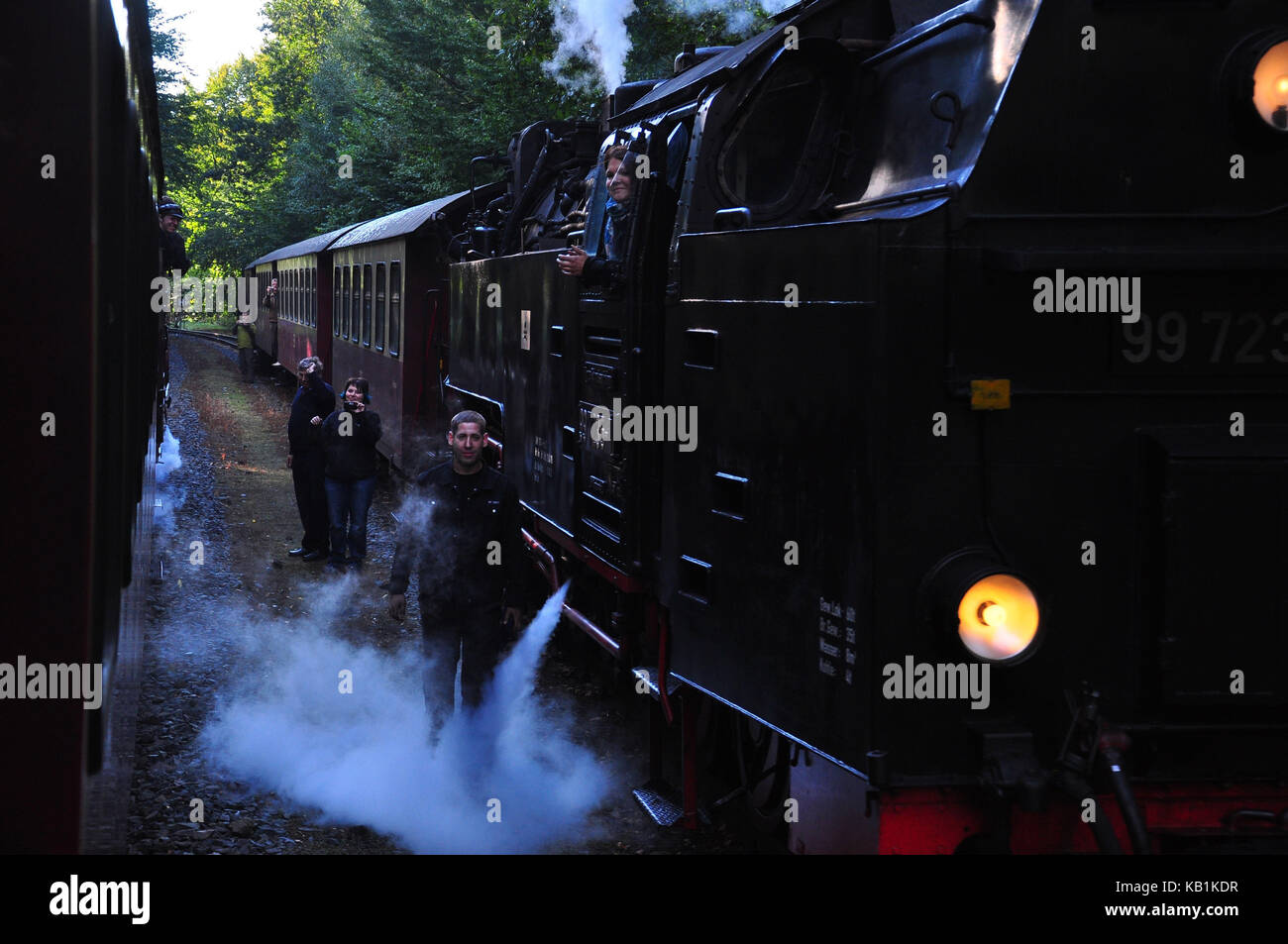 Germany, Saxony-Anhalt, east resin, Harzer light railway, lump express ...