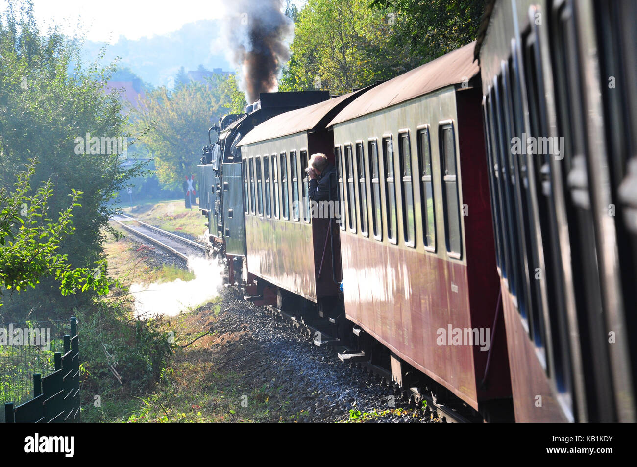 Germany, Saxony-Anhalt, east resin, Harzer light railway, lump express ...
