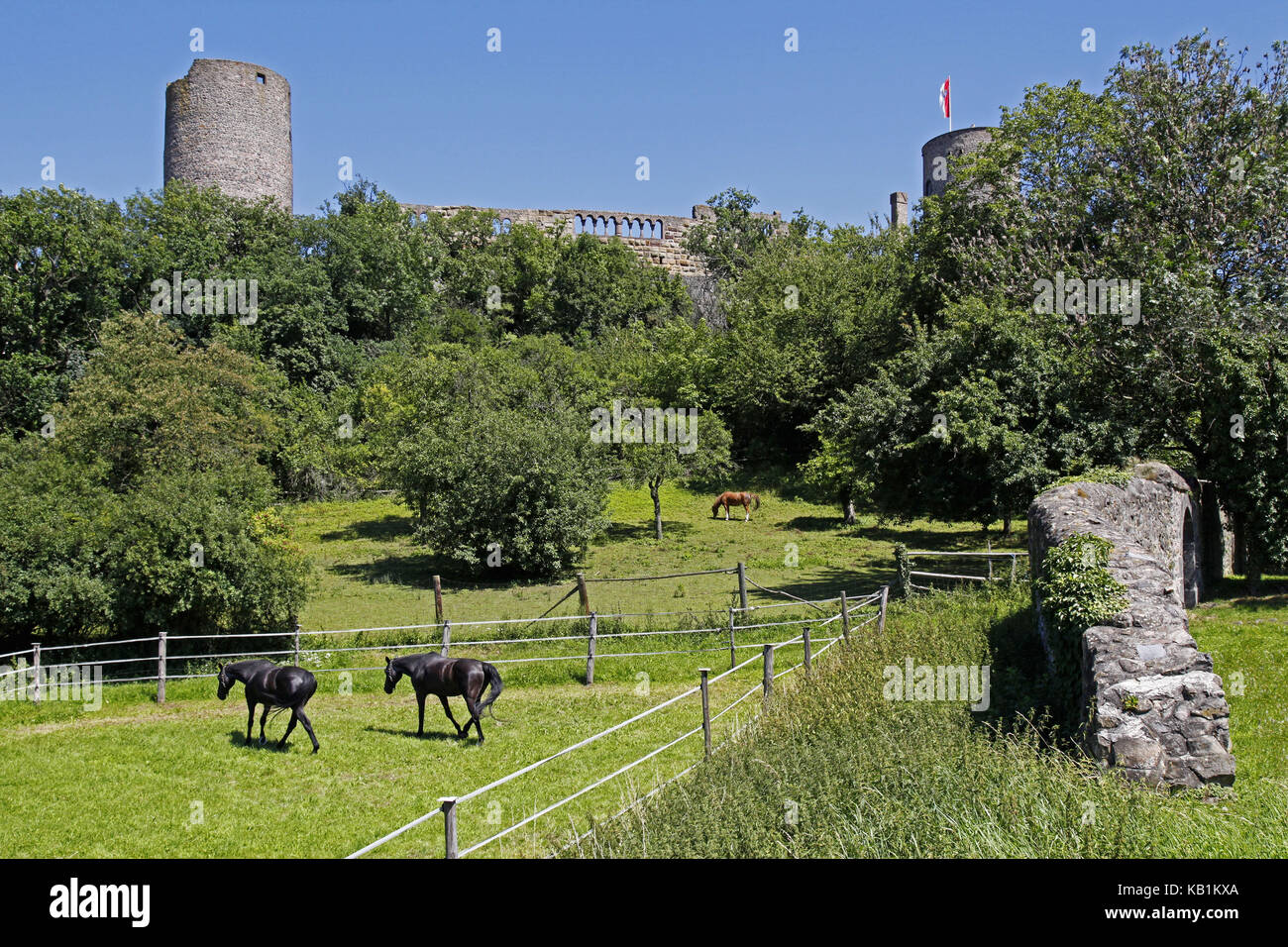 Germany, Hessia, coin mountain, Wetteraukreis, castle, builds from the ...