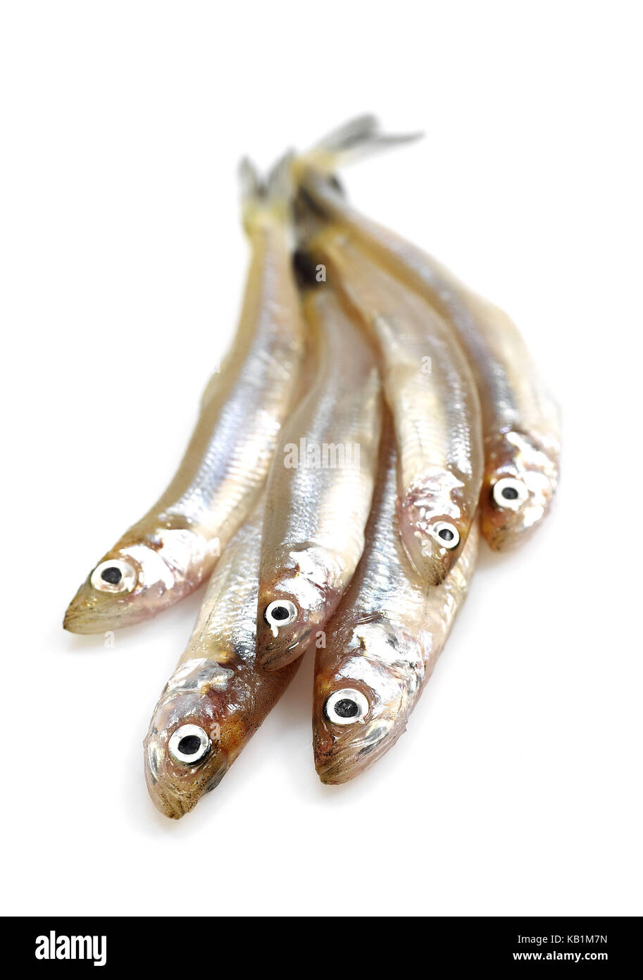 Fresh fish, Stinte, Osmerus eperlanus, studio, cut out Stock Photo - Alamy