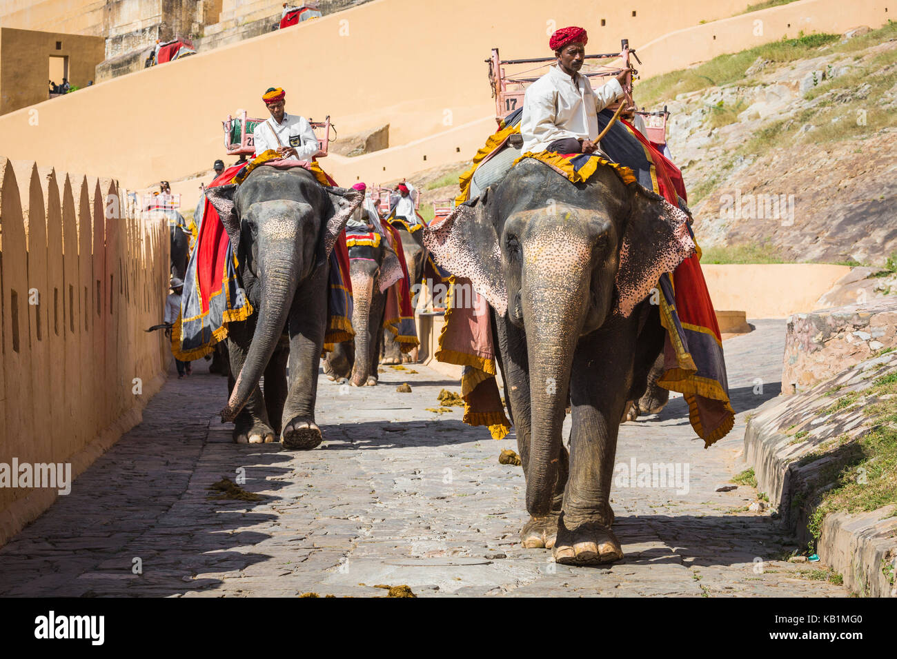 Decorated elephants in Jaleb Chowk in Amber Fort in Jaipur, India Stock ...