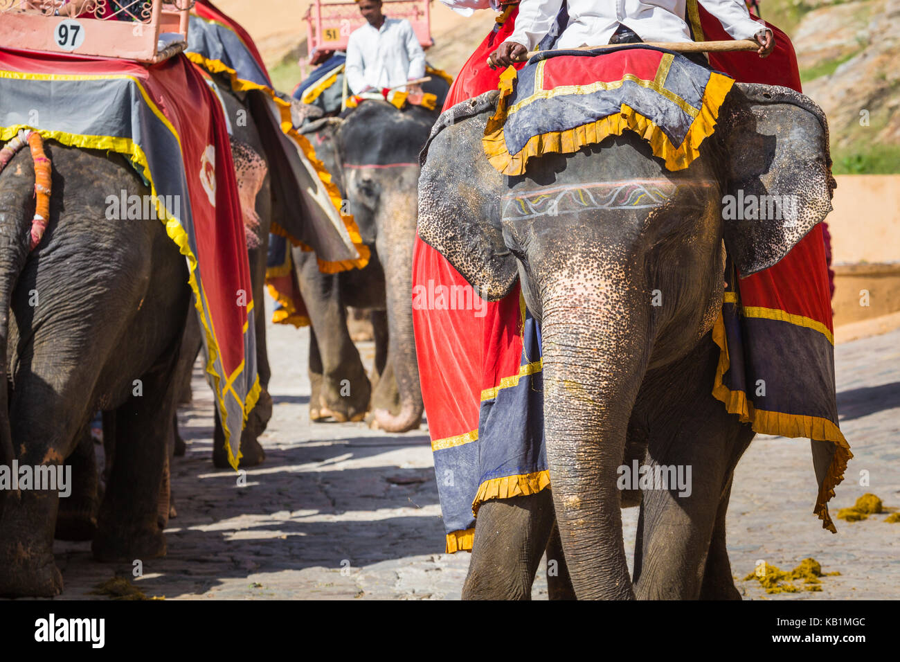 Decorated elephants in Jaleb Chowk in Amber Fort in Jaipur, India Stock ...