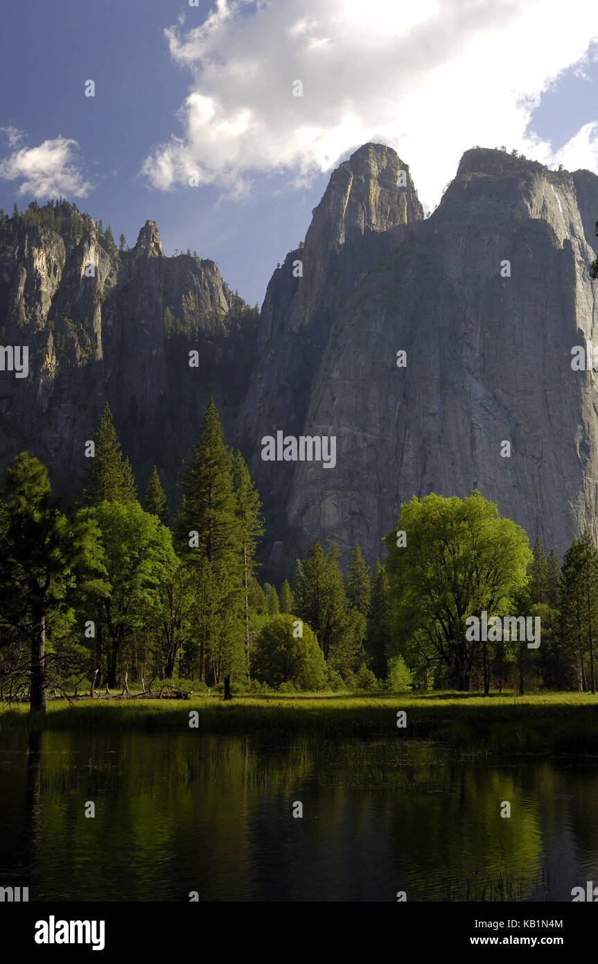 Trees and Cathedral rock, Yosemite national park, the USA Stock Photo ...