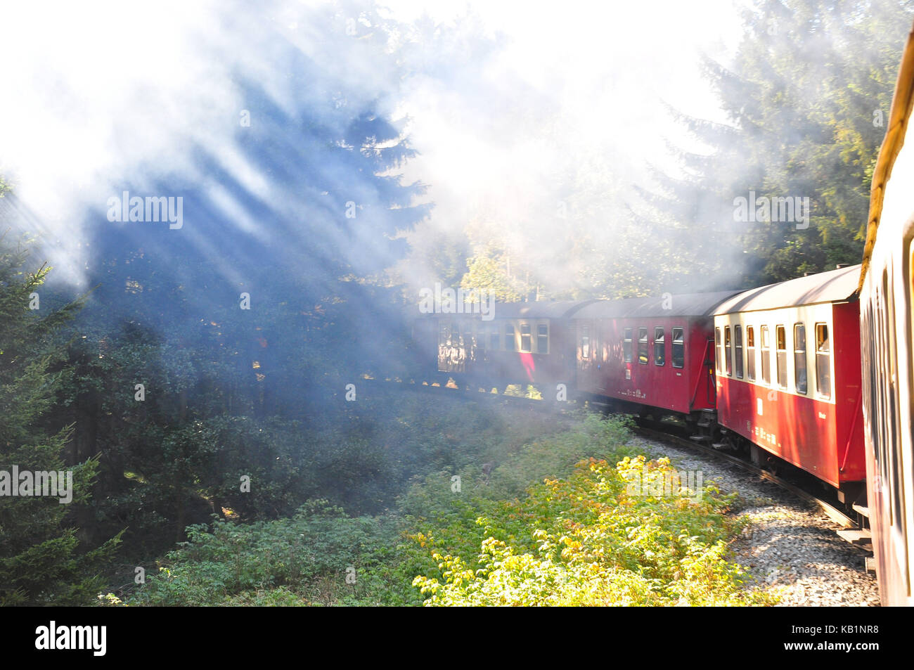 Germany, Saxony-Anhalt, east resin, Harzer light railway, lump express ...