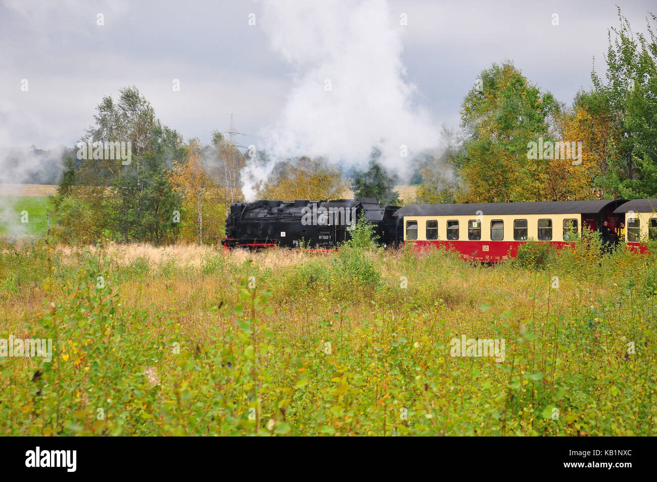 Germany, Saxony-Anhalt, east resin, Harzer light railway, lump express ...