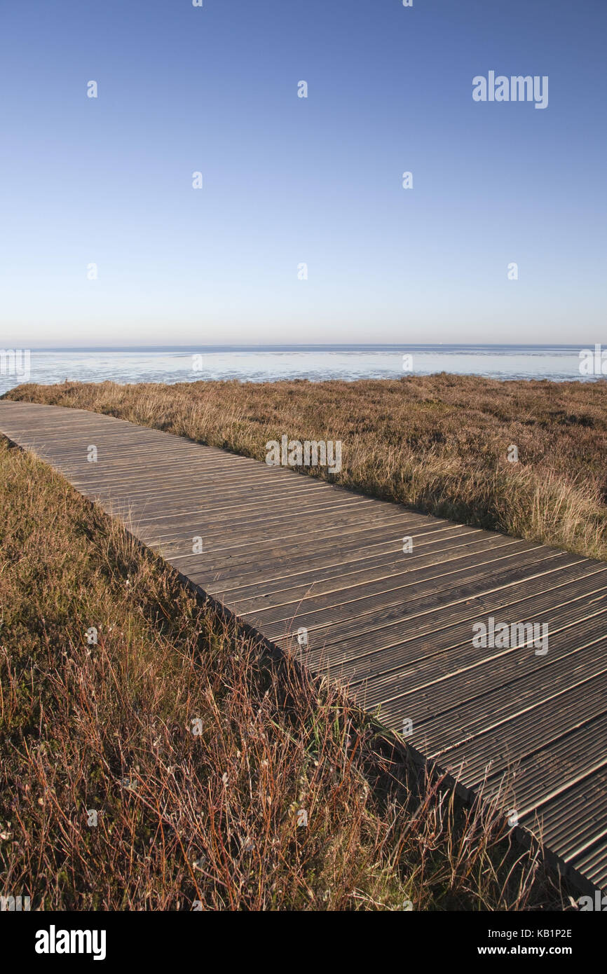 Away by the moor to the watt At Morsum cliff, island Sylt, Sylt East ...