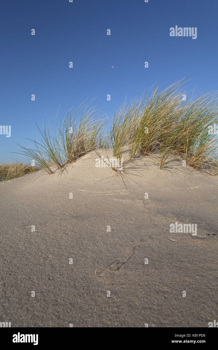 Ellenbogen nature reserve hi-res stock photography and images - Alamy
