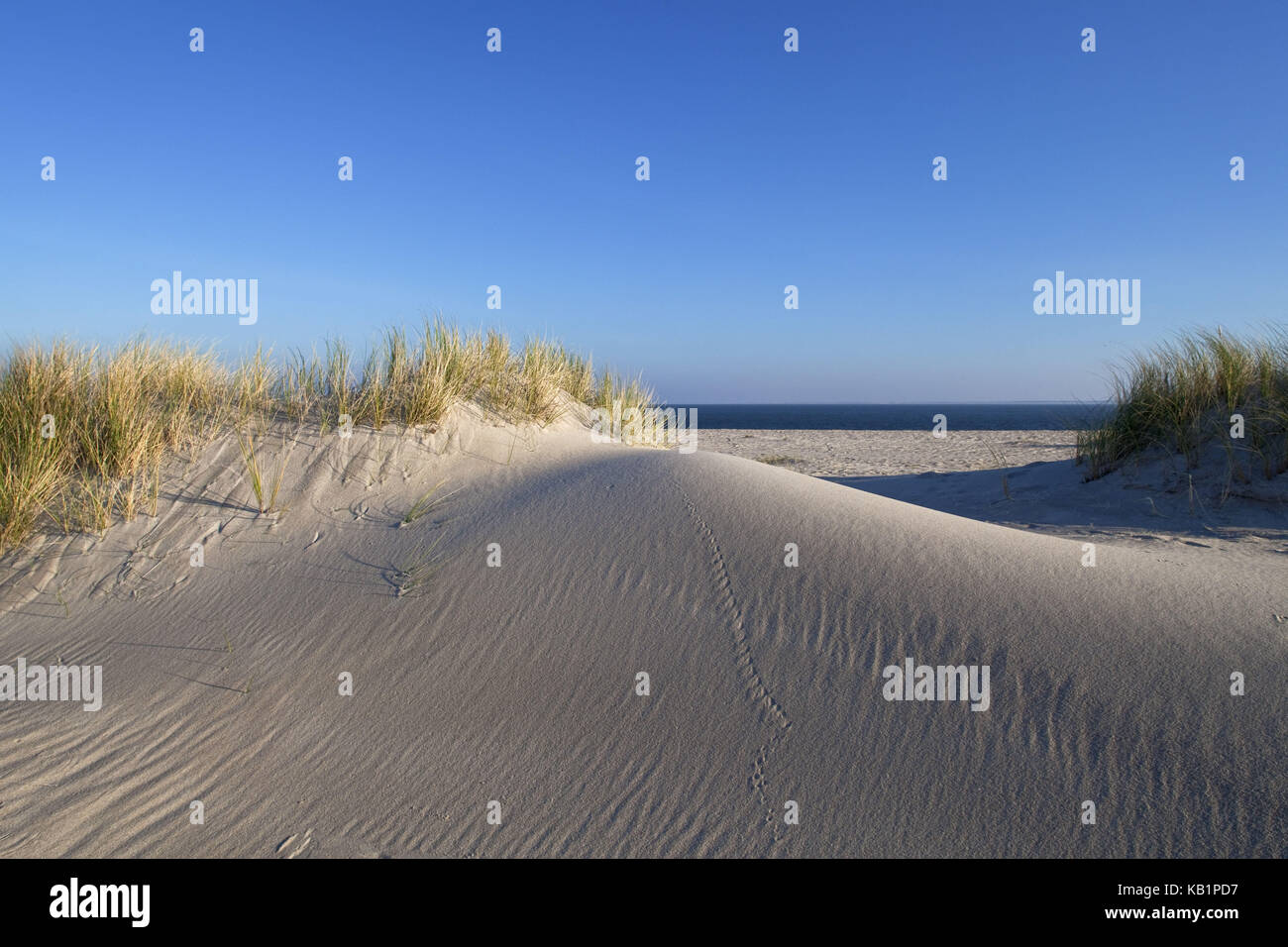 Ellenbogen nature reserve hi-res stock photography and images - Alamy