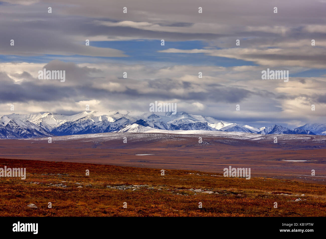North America, the USA, Alaska, North Slope, arctic tundra, Brooks ...