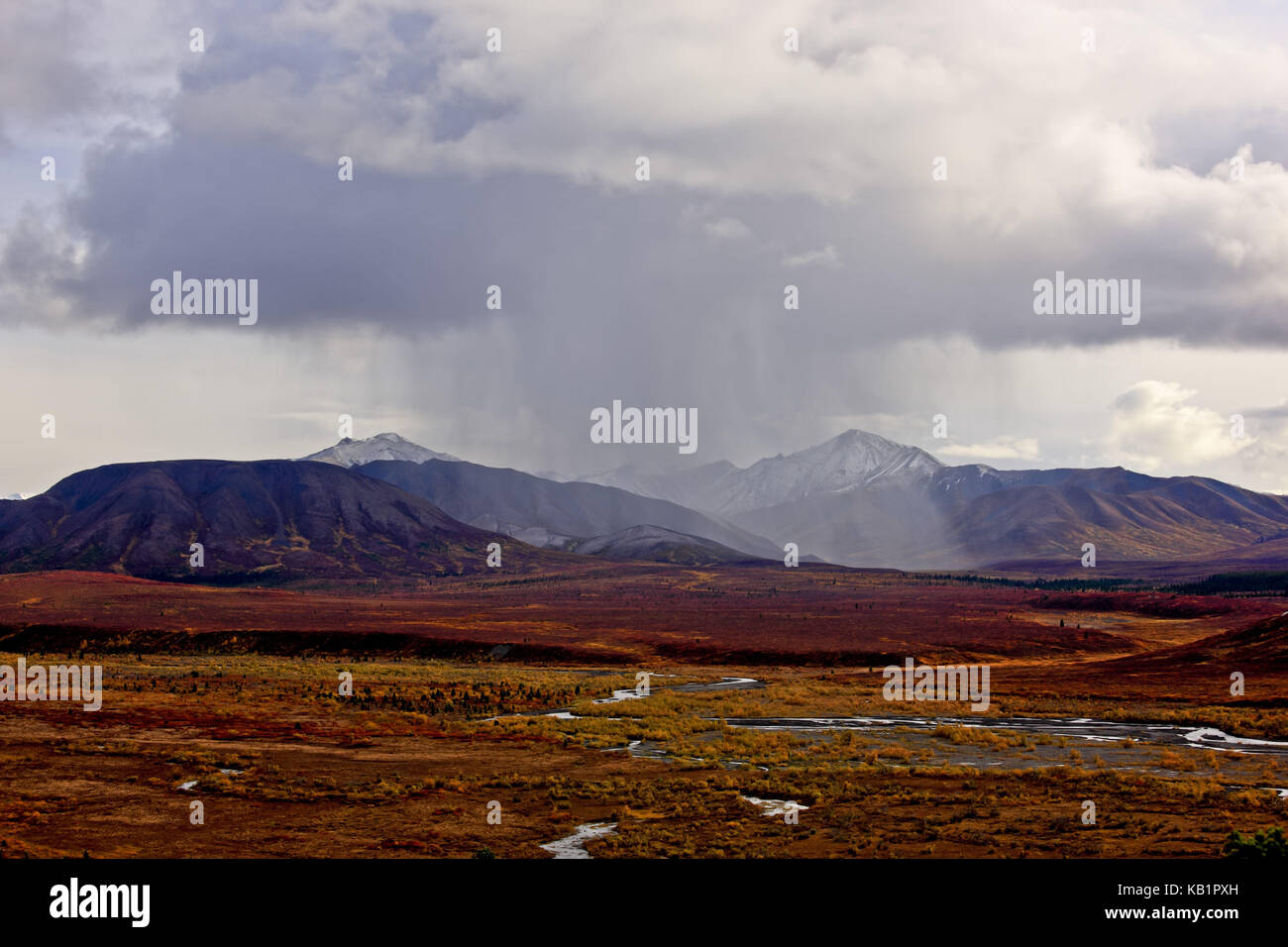 North America, the USA, Alaska, Denali national park, tundra, Alaska ...