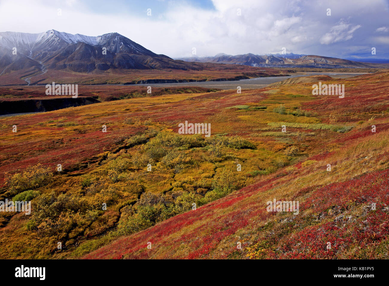 North America, the USA, Alaska, Denali national park, tundra, Alaska ...