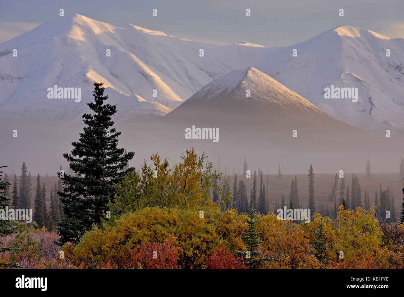 North America, the USA, Alaska, Denali national park, Alaska Range ...