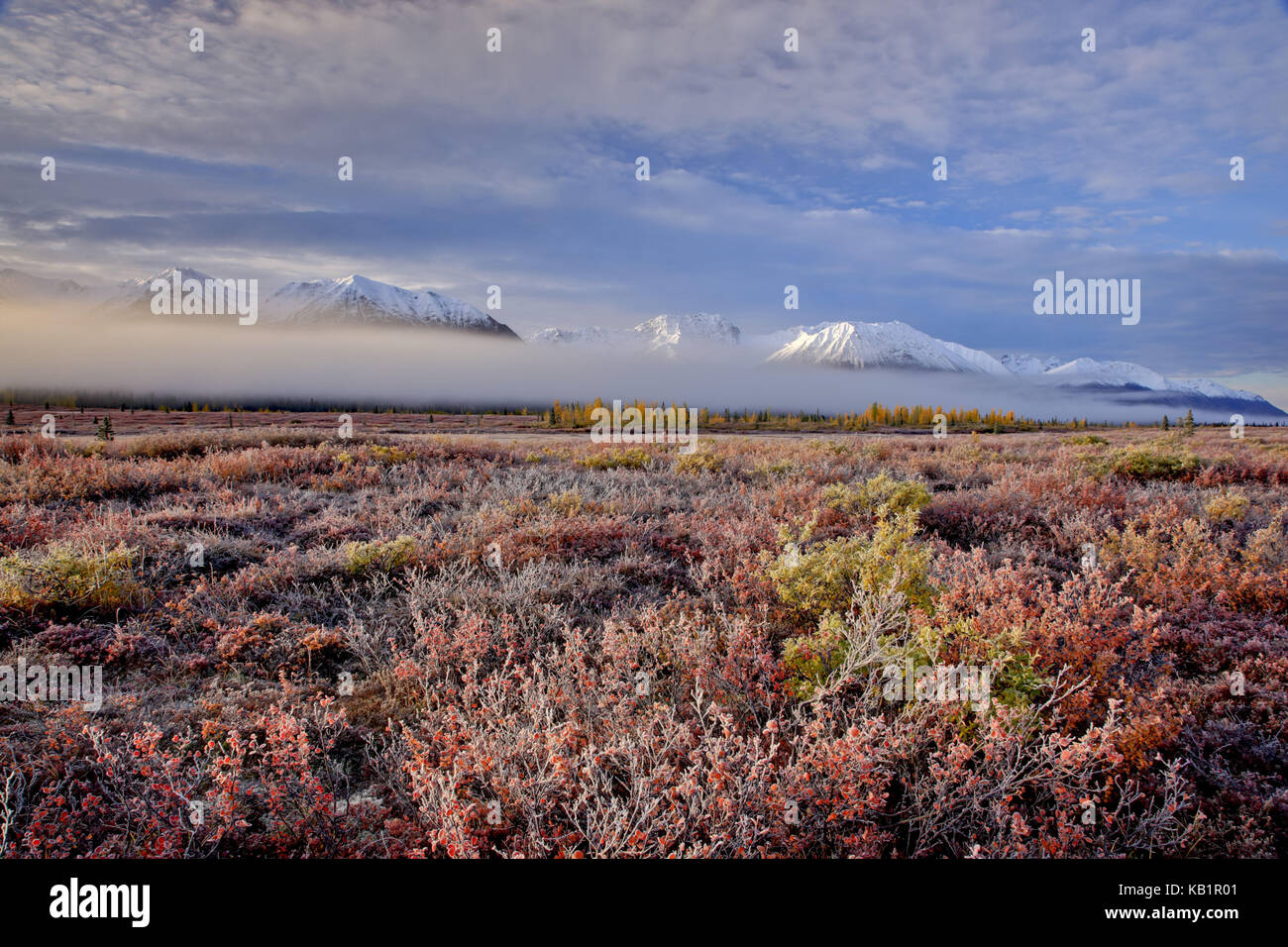North America, the USA, Alaska, Denali national park, Alaska Range ...