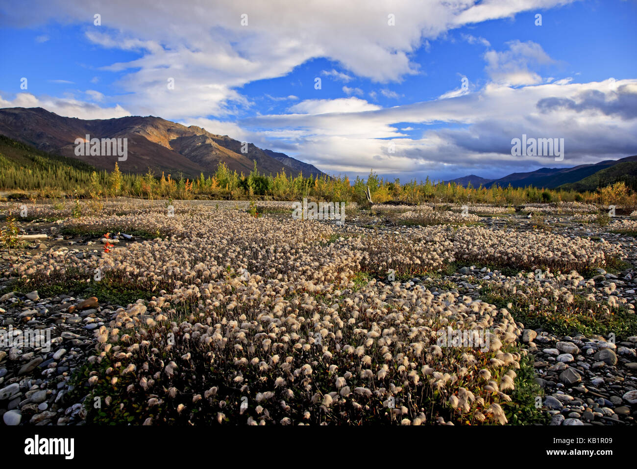 North America, the USA, Alaska, Brooks Range, mountain landscape ...