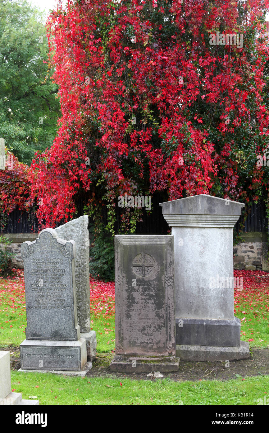 gravestones sitting under a red leaf tree in an Edinburgh graveyard ...