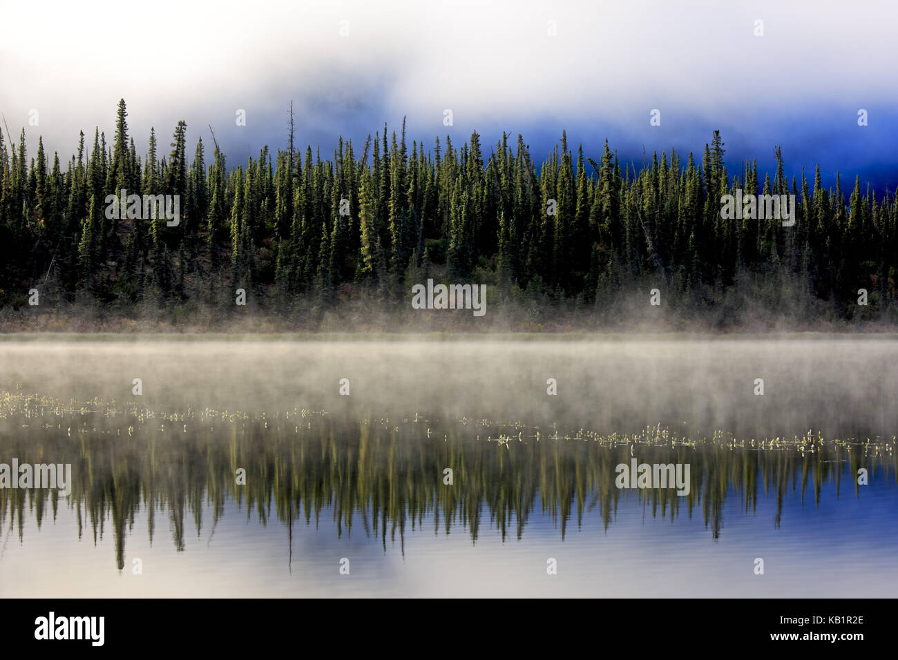 North America, the USA, Alaska, Brooks Range, wood, mountain lake, fog ...