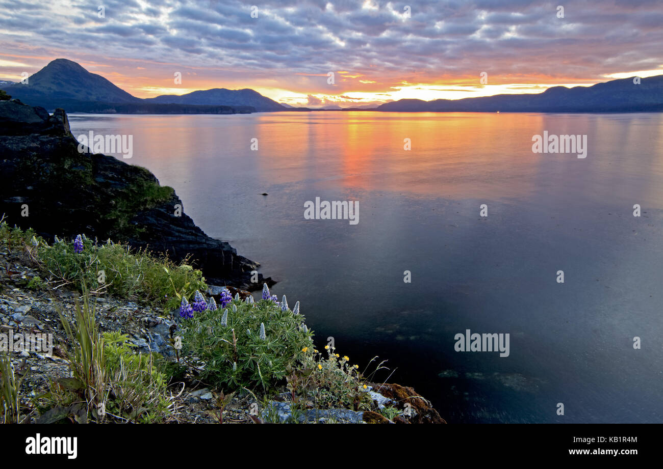 Monashka hi-res stock photography and images - Alamy