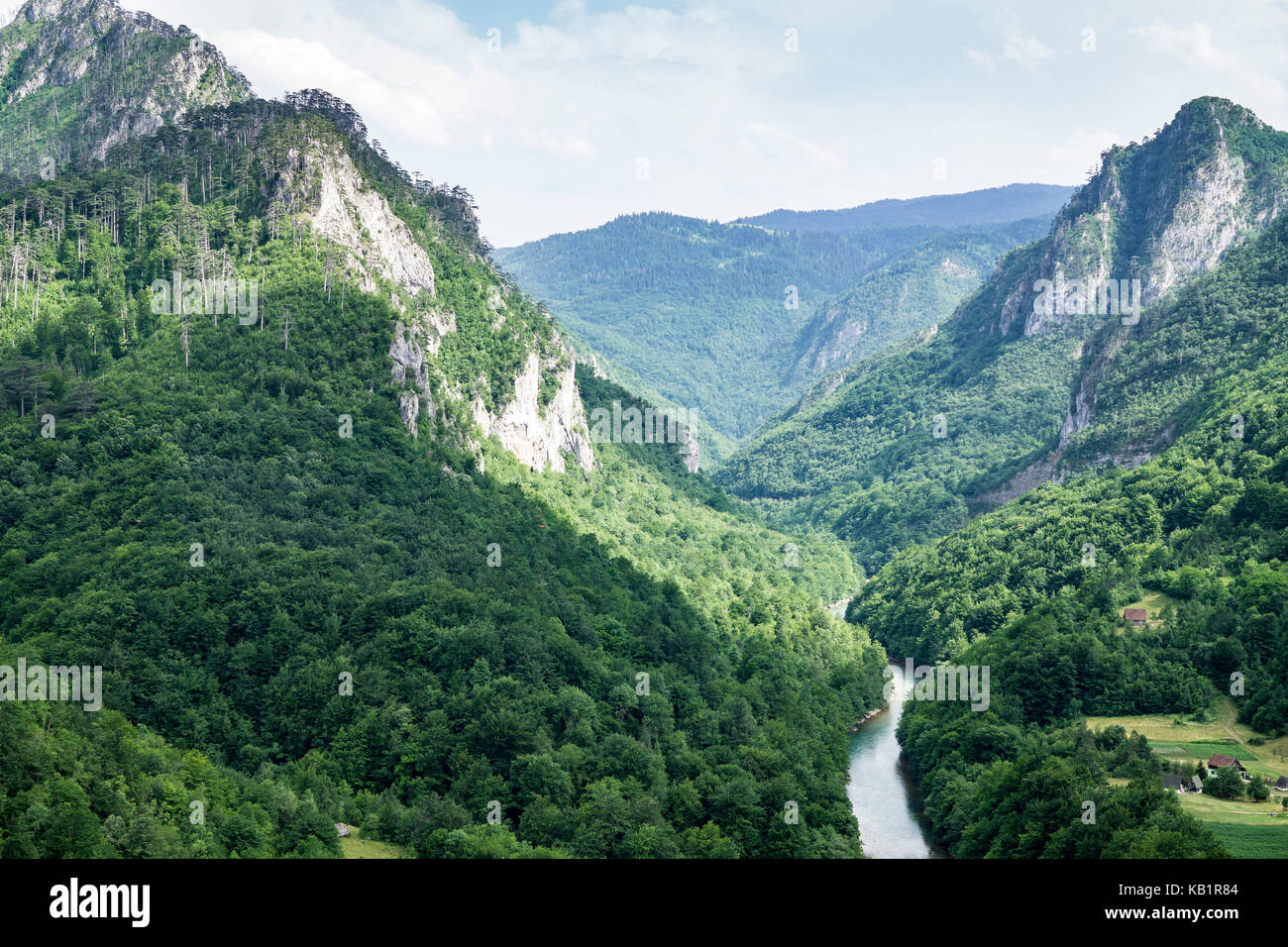 Tara river canyon hi-res stock photography and images - Alamy