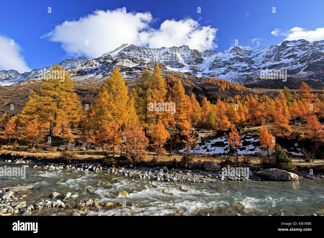 Lonza hi-res stock photography and images - Alamy